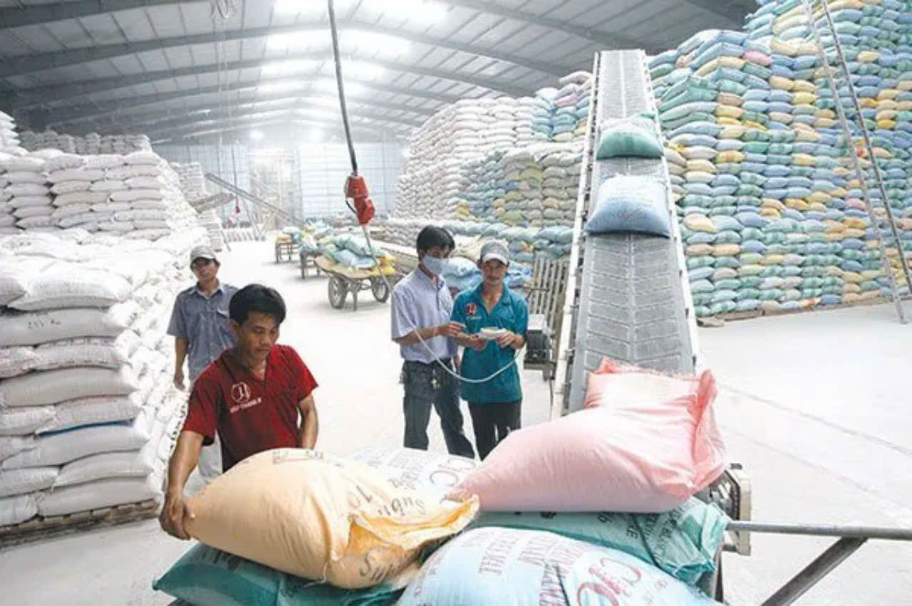 Buy Food Grade Jasmine Rice from Markco Polo Enterprise Pty Ltd, South ...