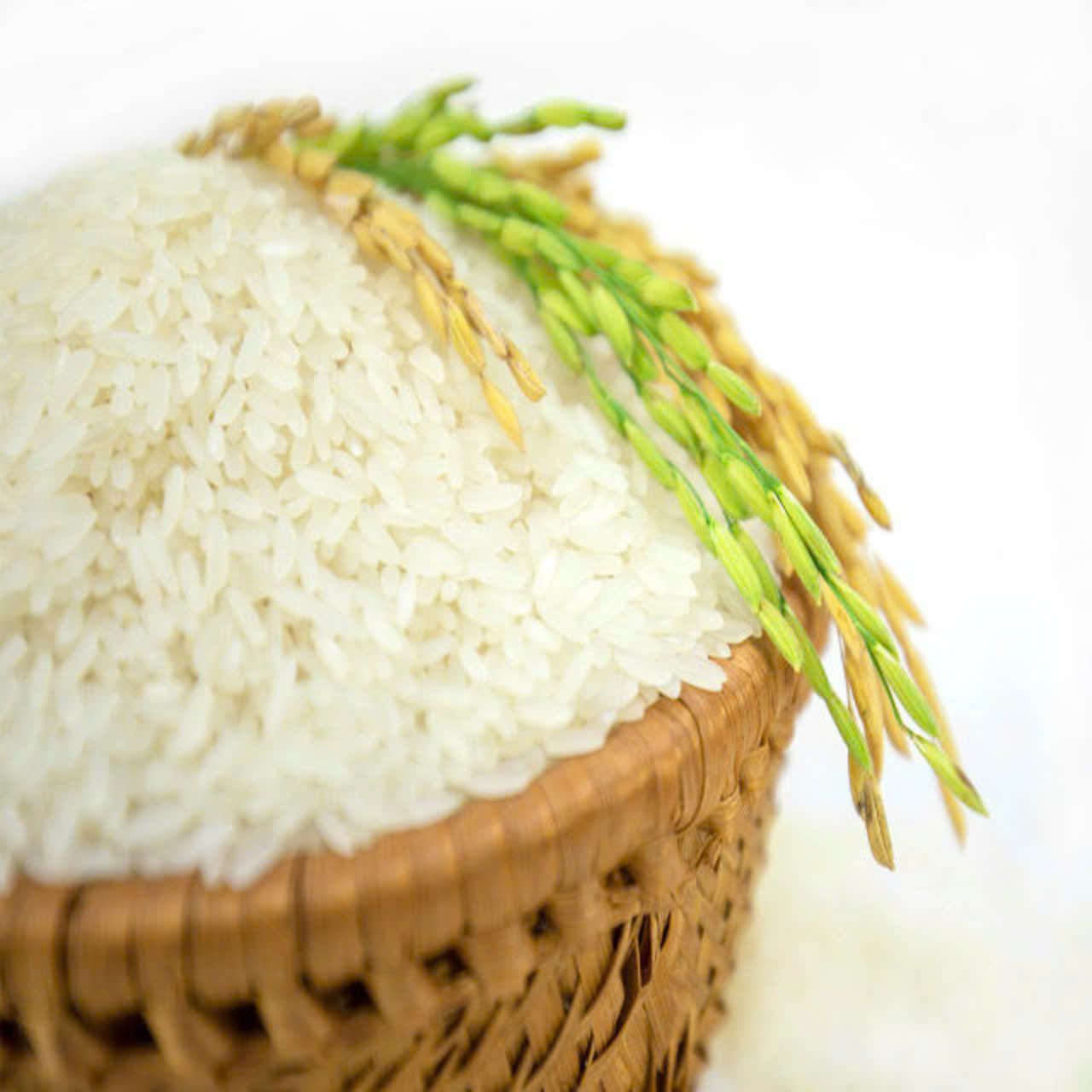Buy Food Grade Jasmine Rice from Markco Polo Enterprise Pty Ltd, South ...