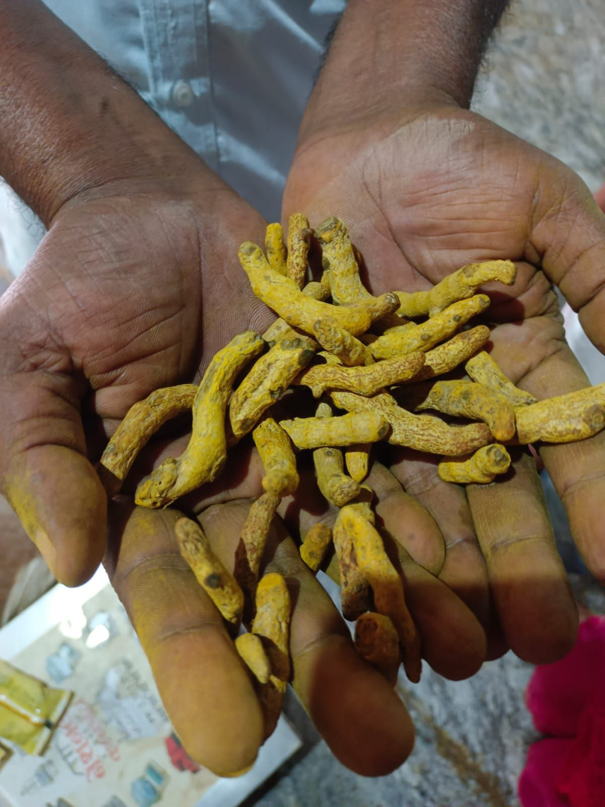 Buy Turmeric Powder from Enam Innovative Industries, India | Tradewheel.com