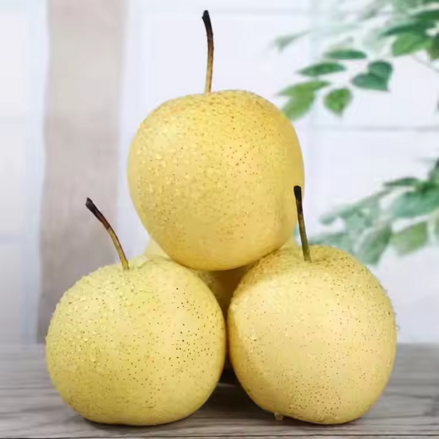 Buy Sales Export Top 100% Fresh Pears From Usafresh Pears Bulk Fruit ...