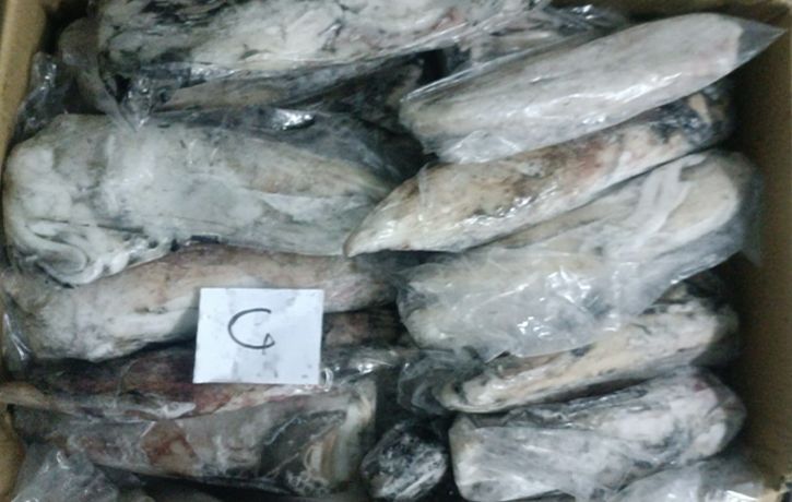Buy Frozen Squid (calamar) – Iqf 20kg Cartons – Export From Morocco ...