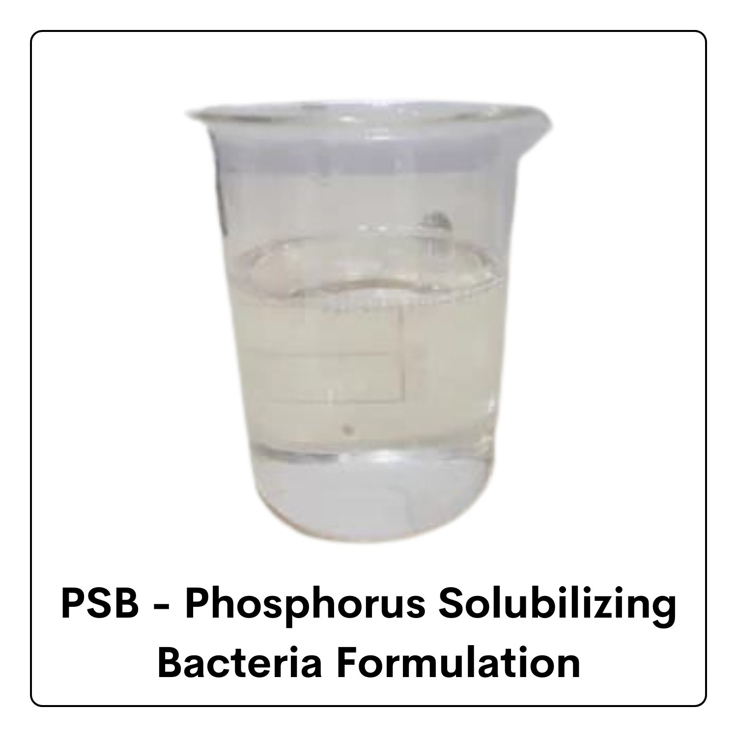 Buy Phosphorus Solubilizing Bacteria from Unicrop biochem, India | Tradewheel.com
