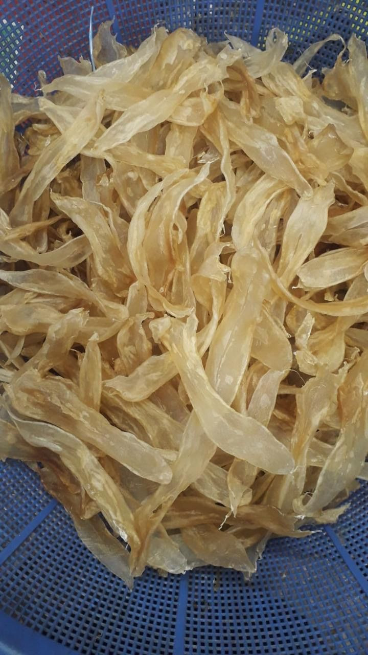 Buy Fish Maw from Fish Maw of Bengal Sea, Bangladesh | Tradewheel.com
