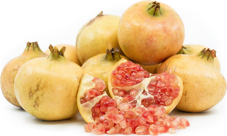 Buy Fresh Yellow Pomegranate from Unity Overseas, Hong Kong ...