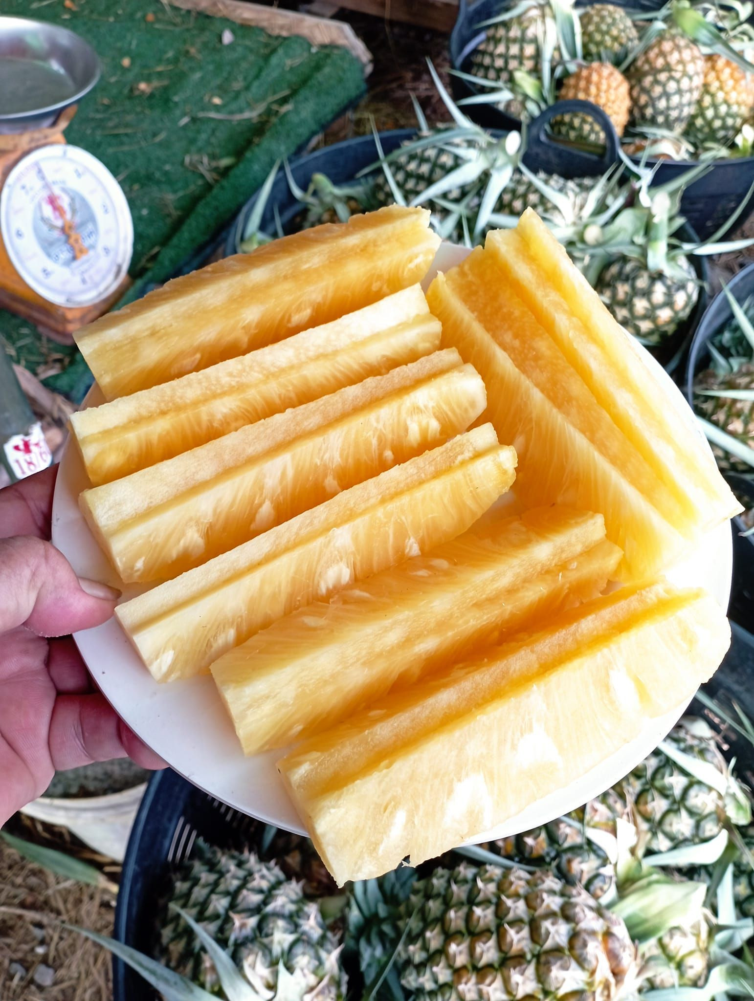 Buy Fresh Pineapple Fruit From Thailand from FRESHIE FOOD EXPORT ...