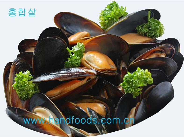 Buy Frozen Cooked Blue Mussel Meat from Hand Foods (Dalian) Co., Ltd ...