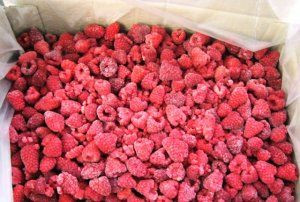Buy Sell In Bulk Frozen Raspberry from Company - Organic Frost, Ukraine ...