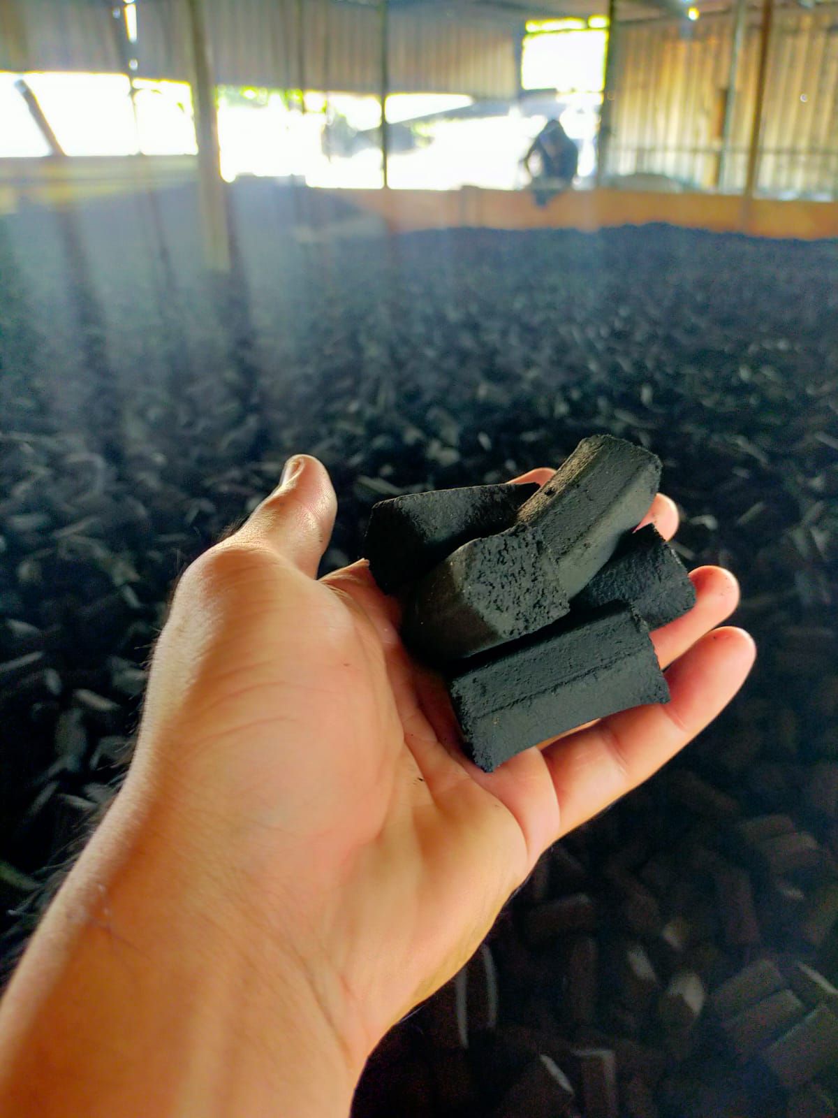 Buy Coconut Shell Briquettes from Wandor, Indonesia | Tradewheel.com