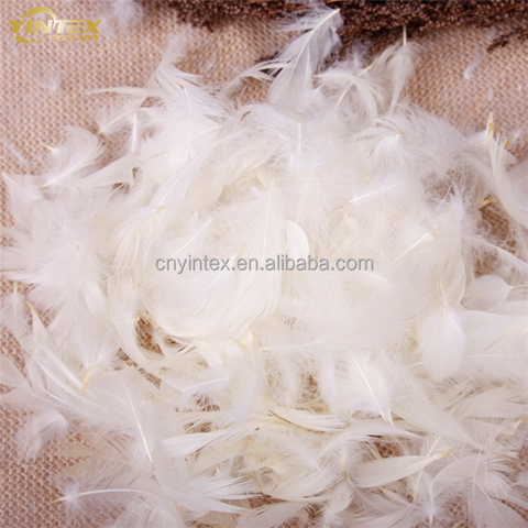 Buy Bluk No Smell Duck Feather Sofa Cushion Filling Duck Feather from ...