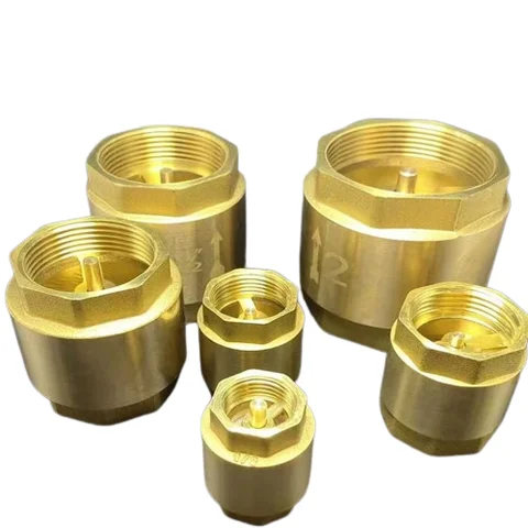 Buy Brass Vertical Check Valve, Spring Check Valve, One-way Valve from ...