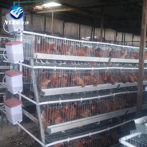 Buy Chicken Layer Cages Automatic Feeding Equipment from ANPING COUNTY ...