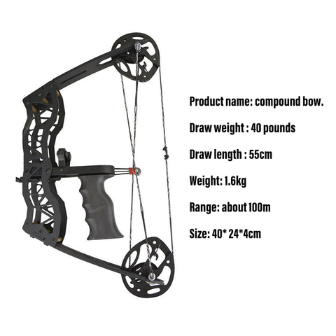 Buy Composite Bow Mini Compound Fishing Bow And Arrow Fish Archery 40 ...