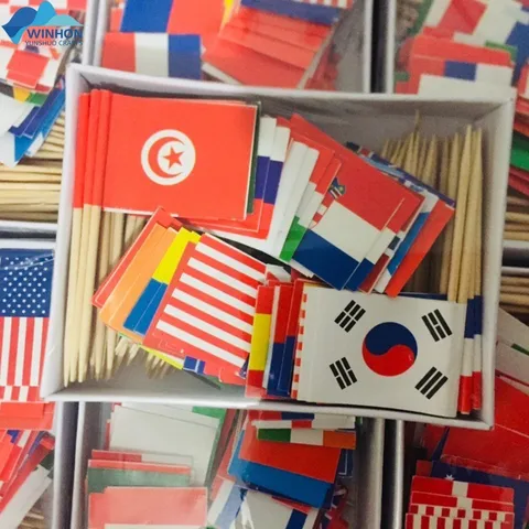 Buy National Countries Flags Toothpicks 50 Countries And Box Packing ...