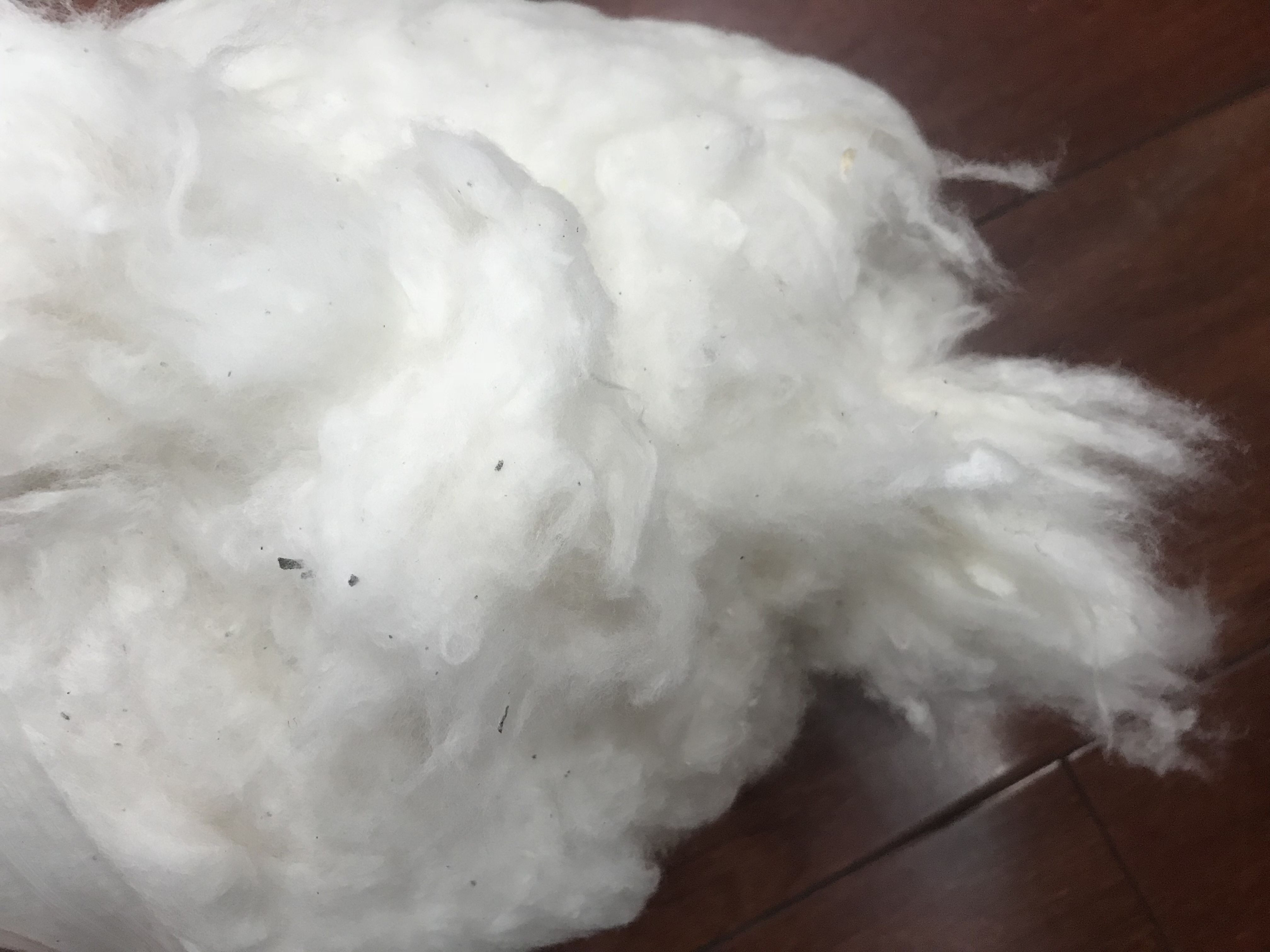 Buy Indian Raw Cotton Mcu5 from Bhadrakaali Fibre Pvt. Ltd., India ...