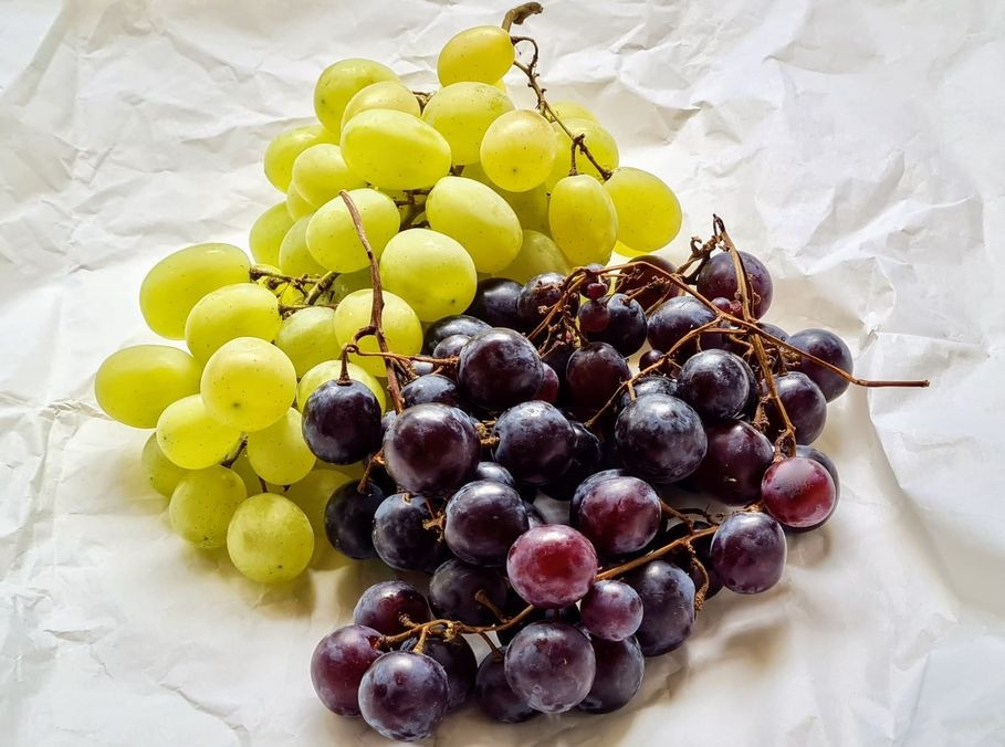 Buy All Fruit And Vegetables from Magdev, Morocco | Tradewheel.com