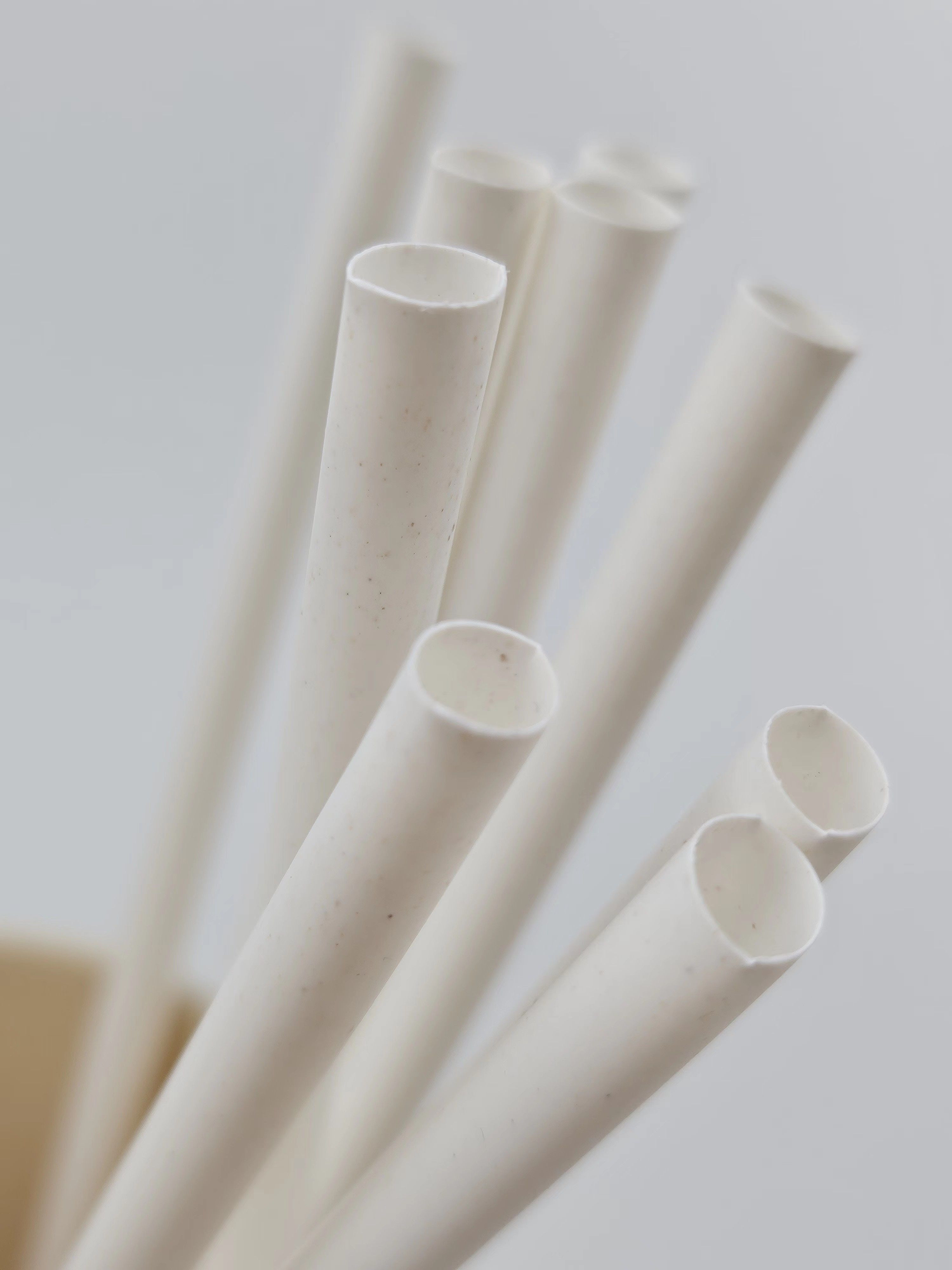 Buy Disposable Pla Bamboo Fiber Straw from Changzhou Mangrove ...