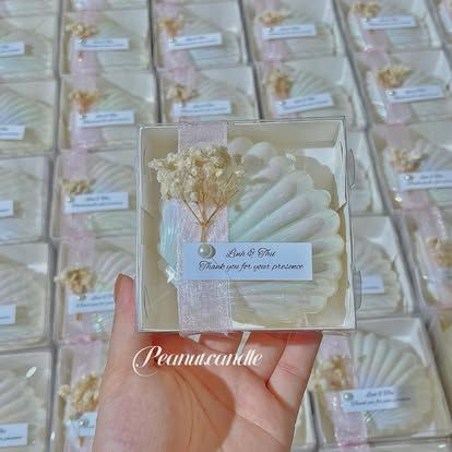 Buy Clam Set from Peanut Candle, Vietnam | Tradewheel.com