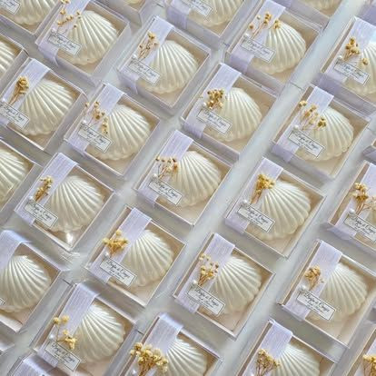 Buy Clam Set from Peanut Candle, Vietnam | Tradewheel.com