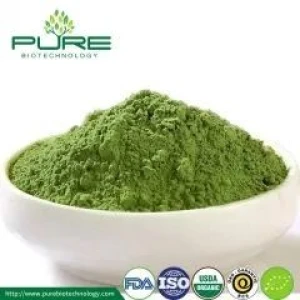 Buy Matcha Powder from Ningxia Pure Goji Biology Technology Co., Ltd ...