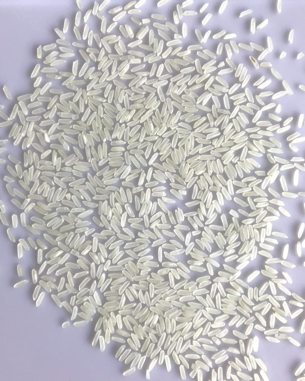 Buy Affordable Vietnamese Jasmine Rice And Soft Ready To Export For ...