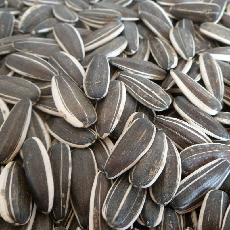 Buy Sunflower Seed from Daltam Warehouse Company Limited, Tanzania ...