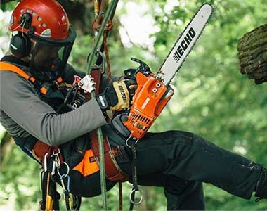 Buy Echo Cs-355t 14 Inch 35.8cc Top Handle Chainsaw from Mowere ...