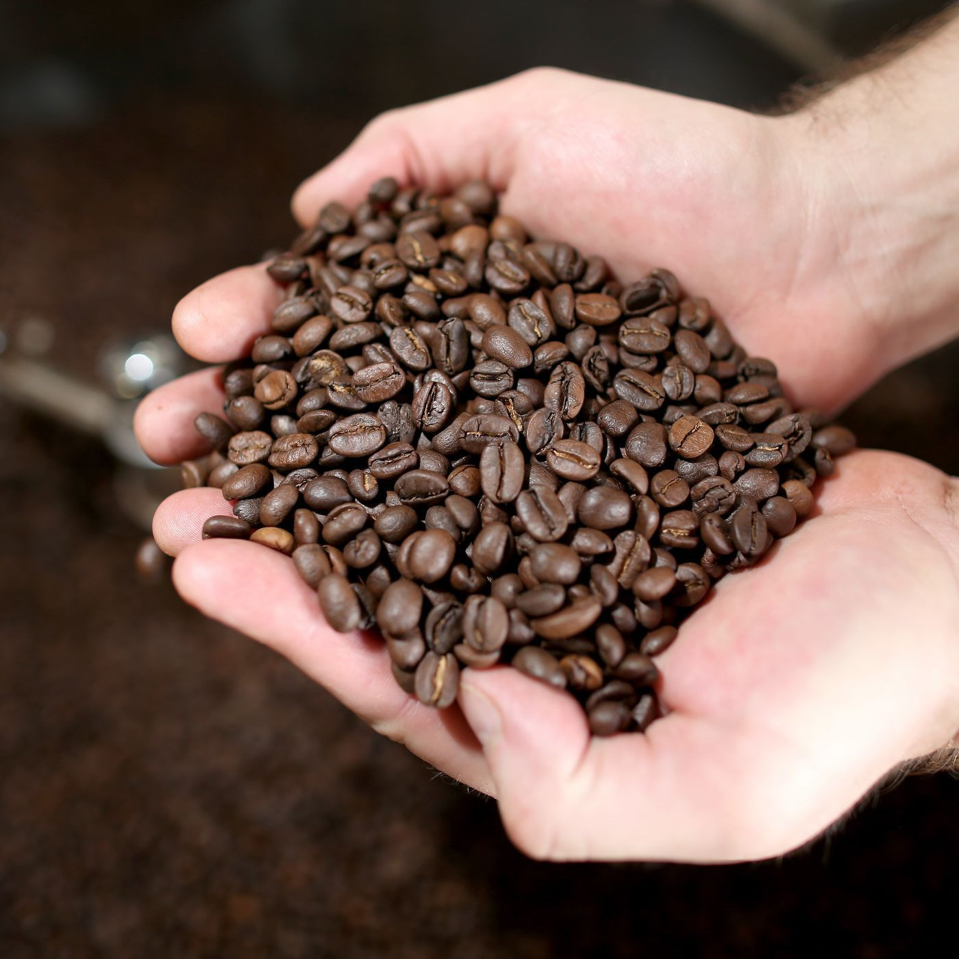 Buy Best Arabica Coffee Beans Rich Aroma Arabica Coffee Beans Perfect ...