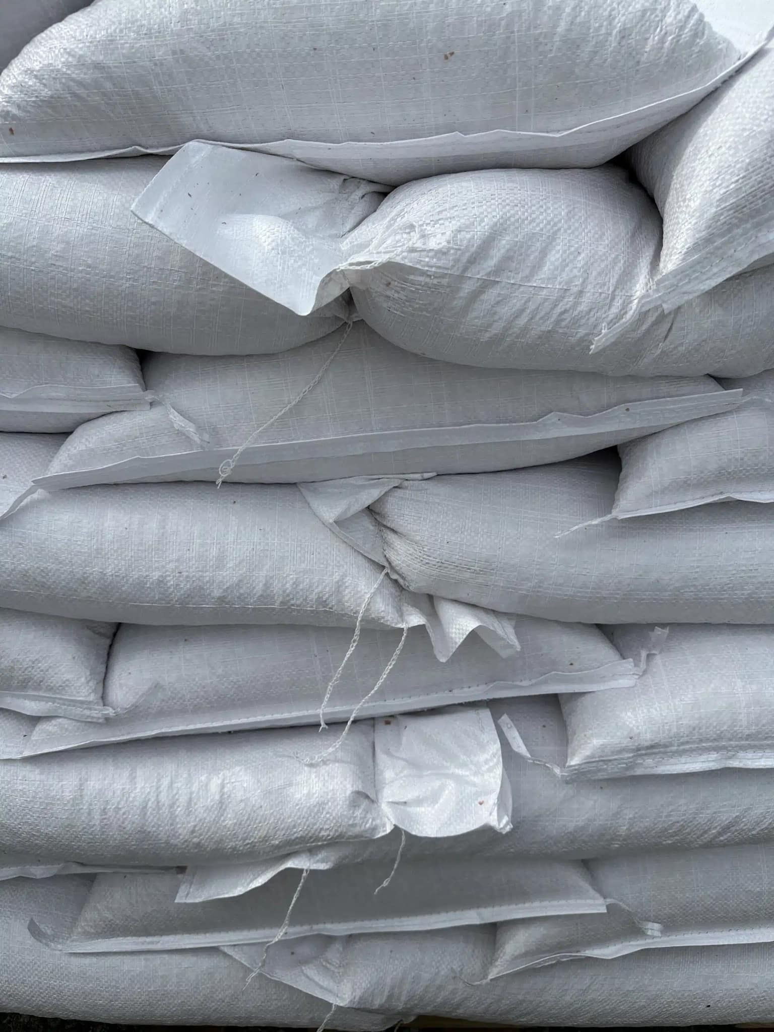 Buy White Corn Maize from AFRICA ASPIDUS COMMODITY TRADERS, South ...