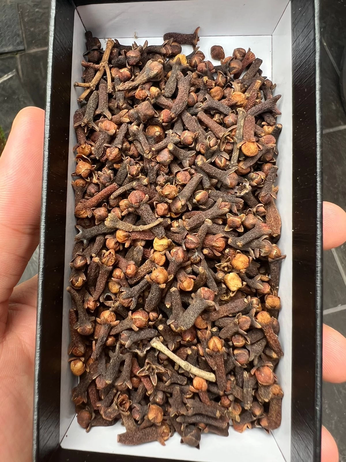 Buy Dried Cloves Origin Of Indonesia Ab6 Grade from Nature Spices ...