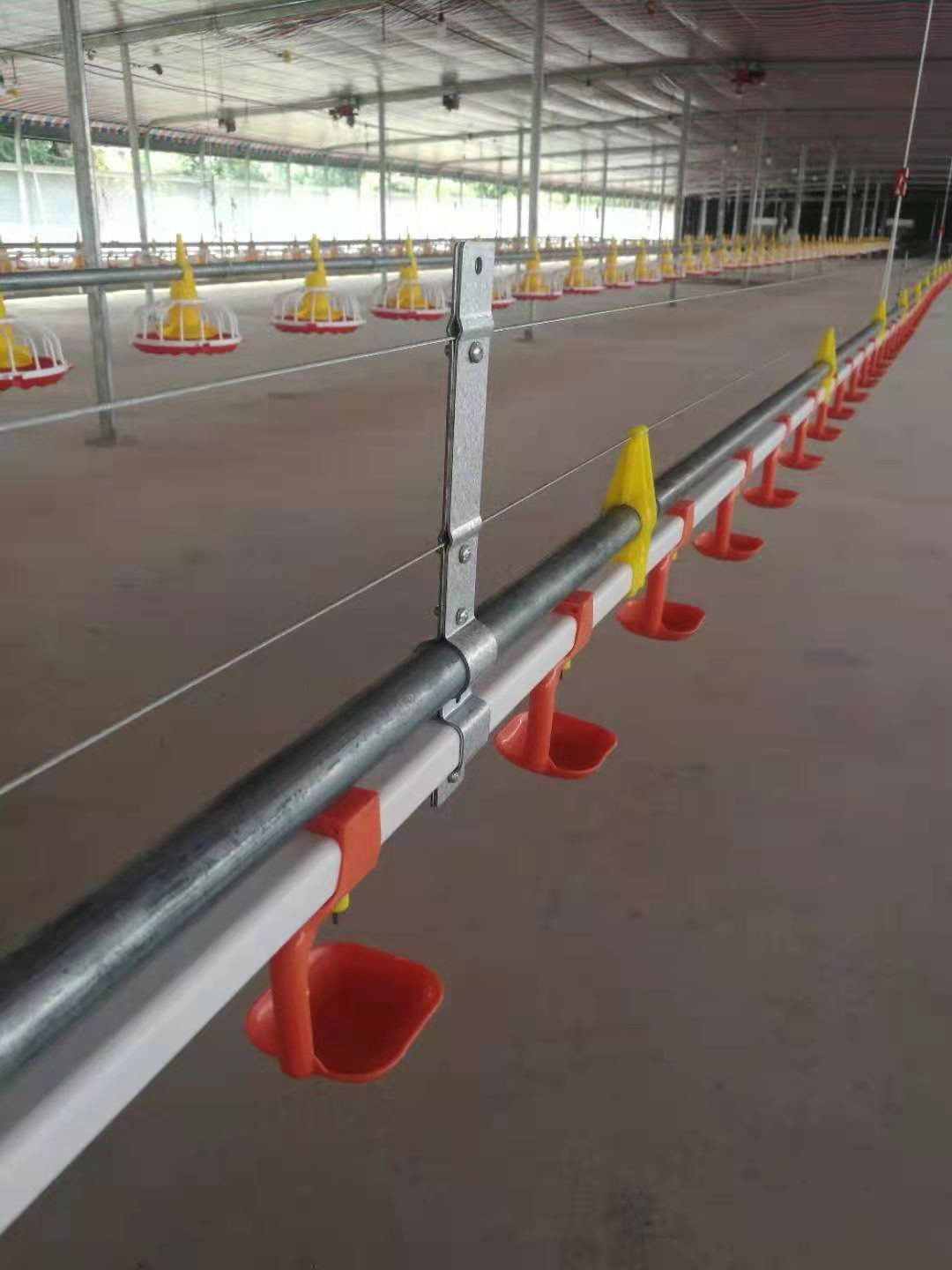 Buy Chicken Farm House Automatic Pan Feeder Line Price Broiler Feed ...