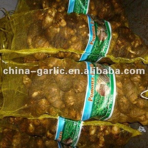 Buy Chinese Fresh Taro 9kg/mesh Bag from Jining Fenduni Foodstuff Co ...
