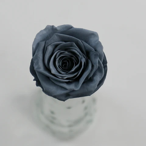 Buy Grade B 5-6 Cm Long Lasting Real Touch Preserved Rose Everlasting ...