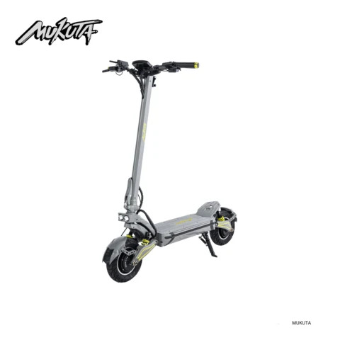 Buy Mukuta 10 Plus Dual Motor 10 Inch Electric Scooter Foldable 2800w ...