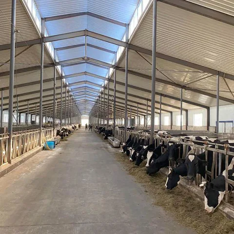 Buy Steel Structural Fabrication Prefabricated Steel Structure Cowshed ...