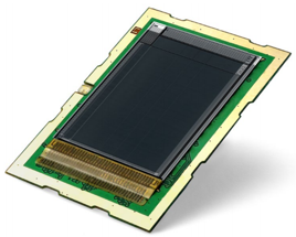 Buy Active Thermal Fingerprint Sensor from NEXT Biometrics, USA ...