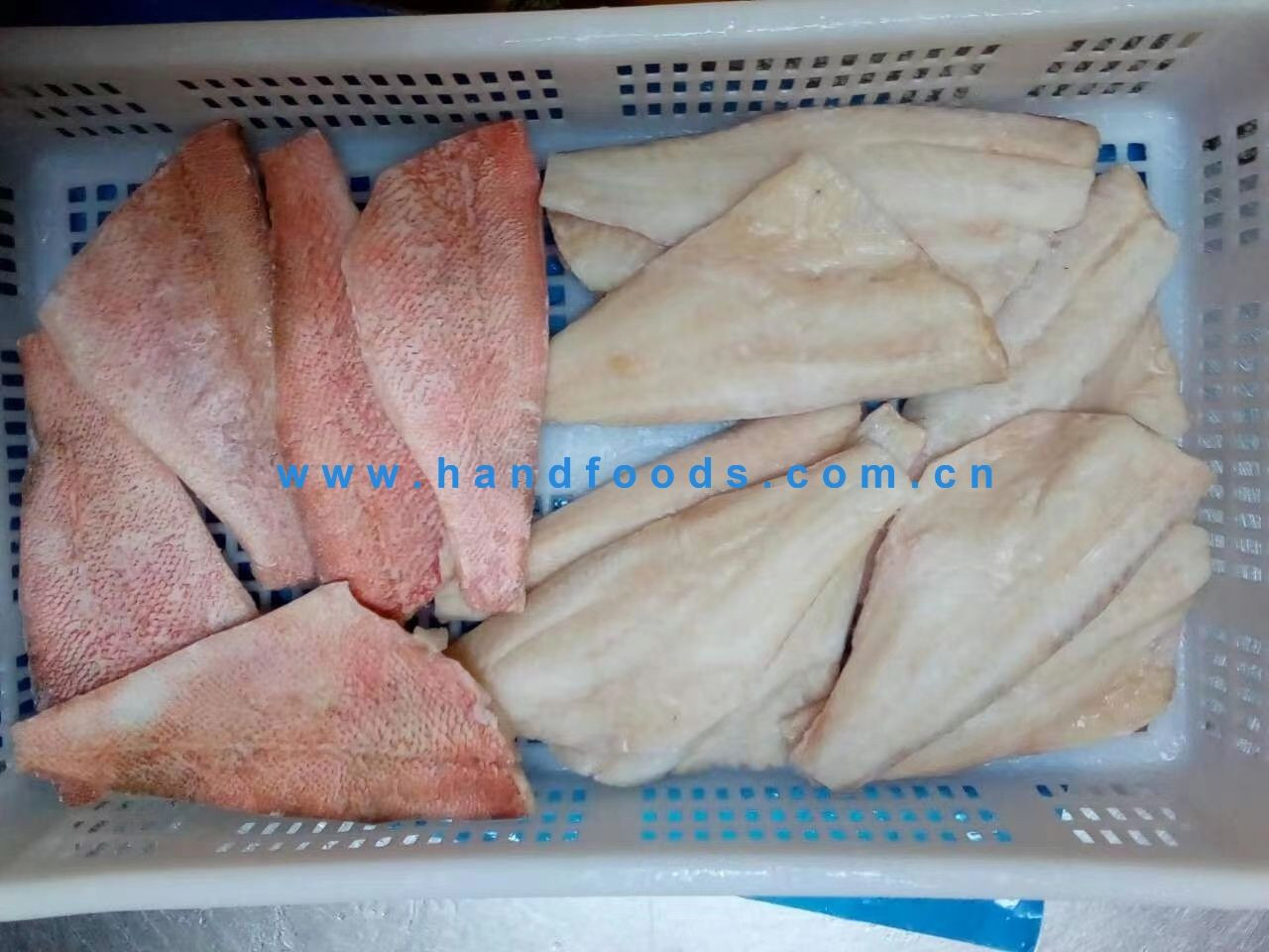 Buy Frozen Pacific Ocean Perch from Hand Foods (Dalian) Co., Ltd ...
