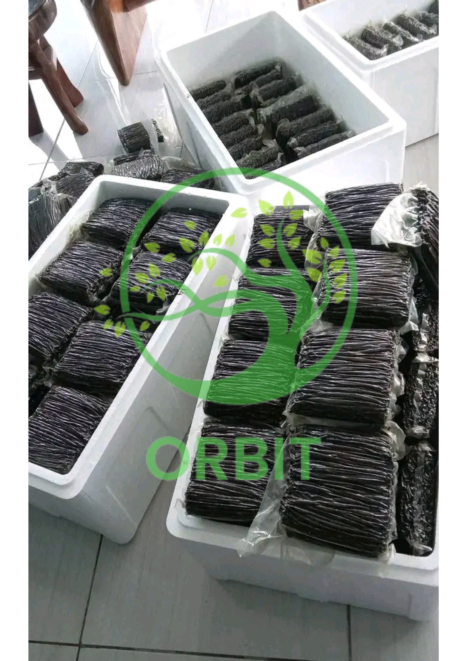 Buy Vanilla Beans Grade Super A+ from Orbit Nature, Indonesia ...
