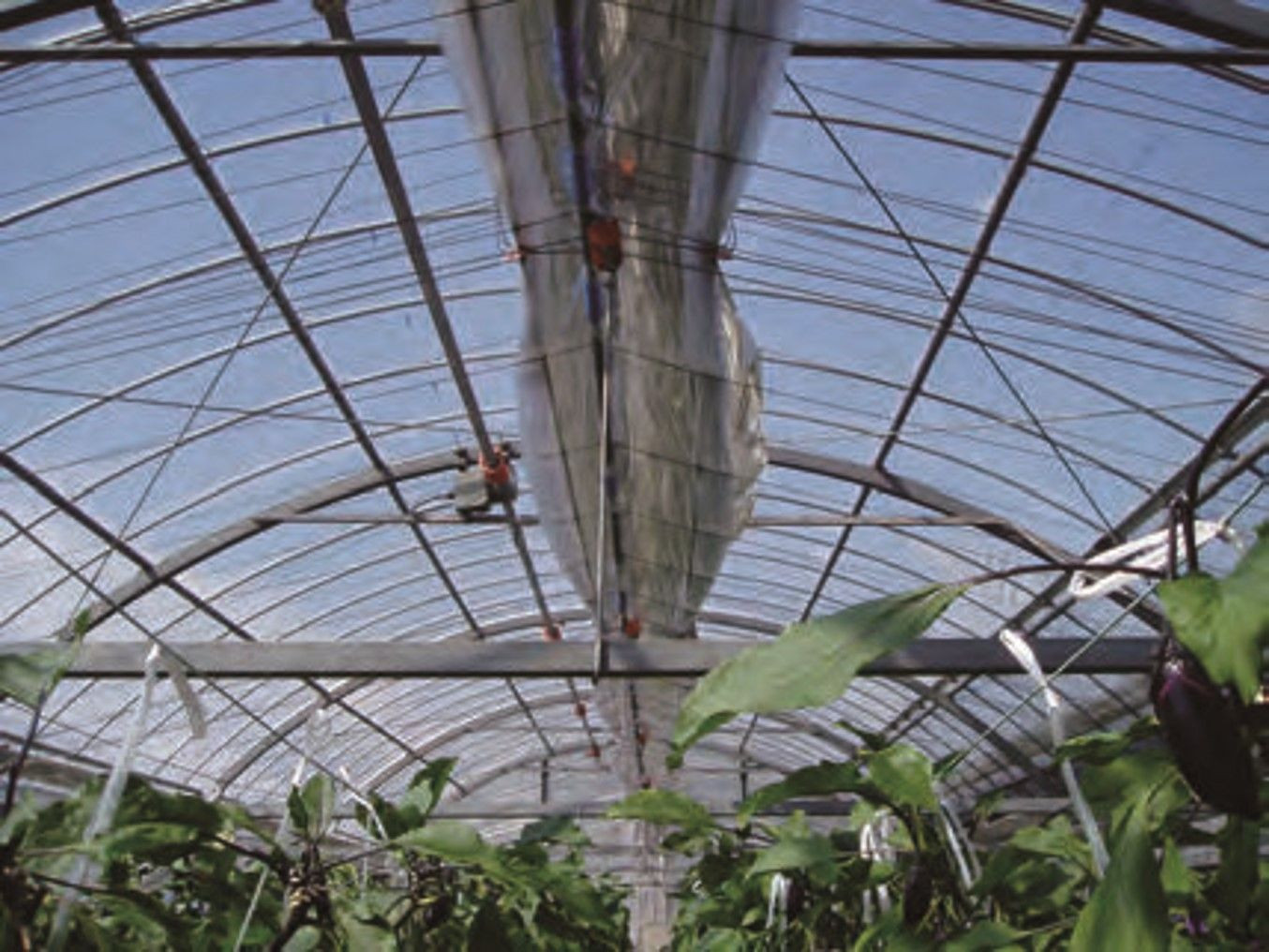 Buy Polyolefin Film For Greenhouse, Agricultural Applications, Po Film ...