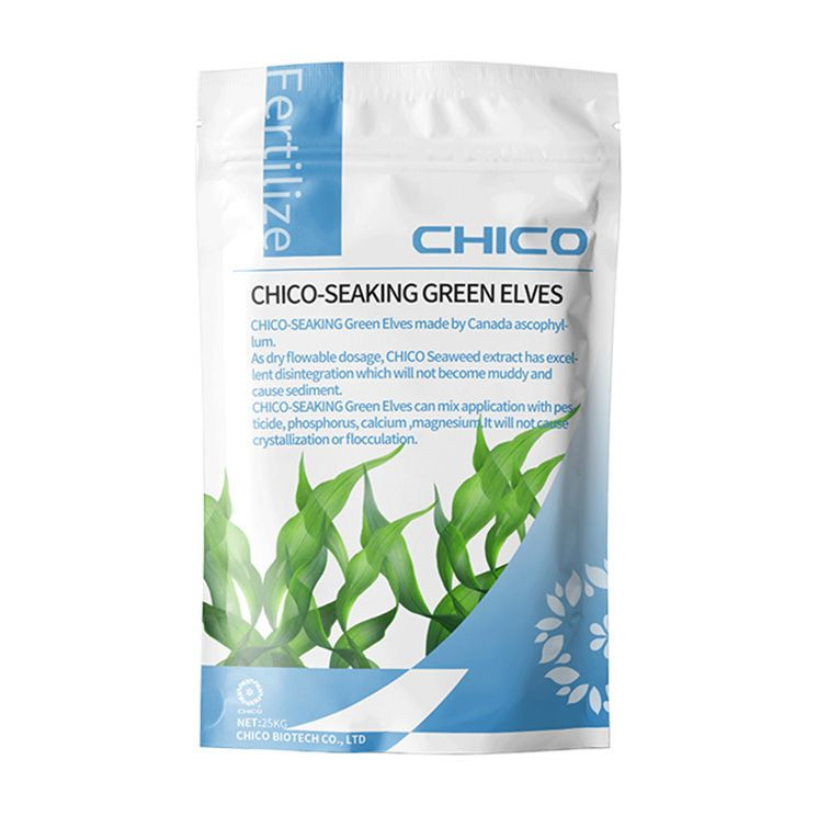 Buy Chico Seaking® Green Elves Seaweed Fertilizer Powder Organic ...