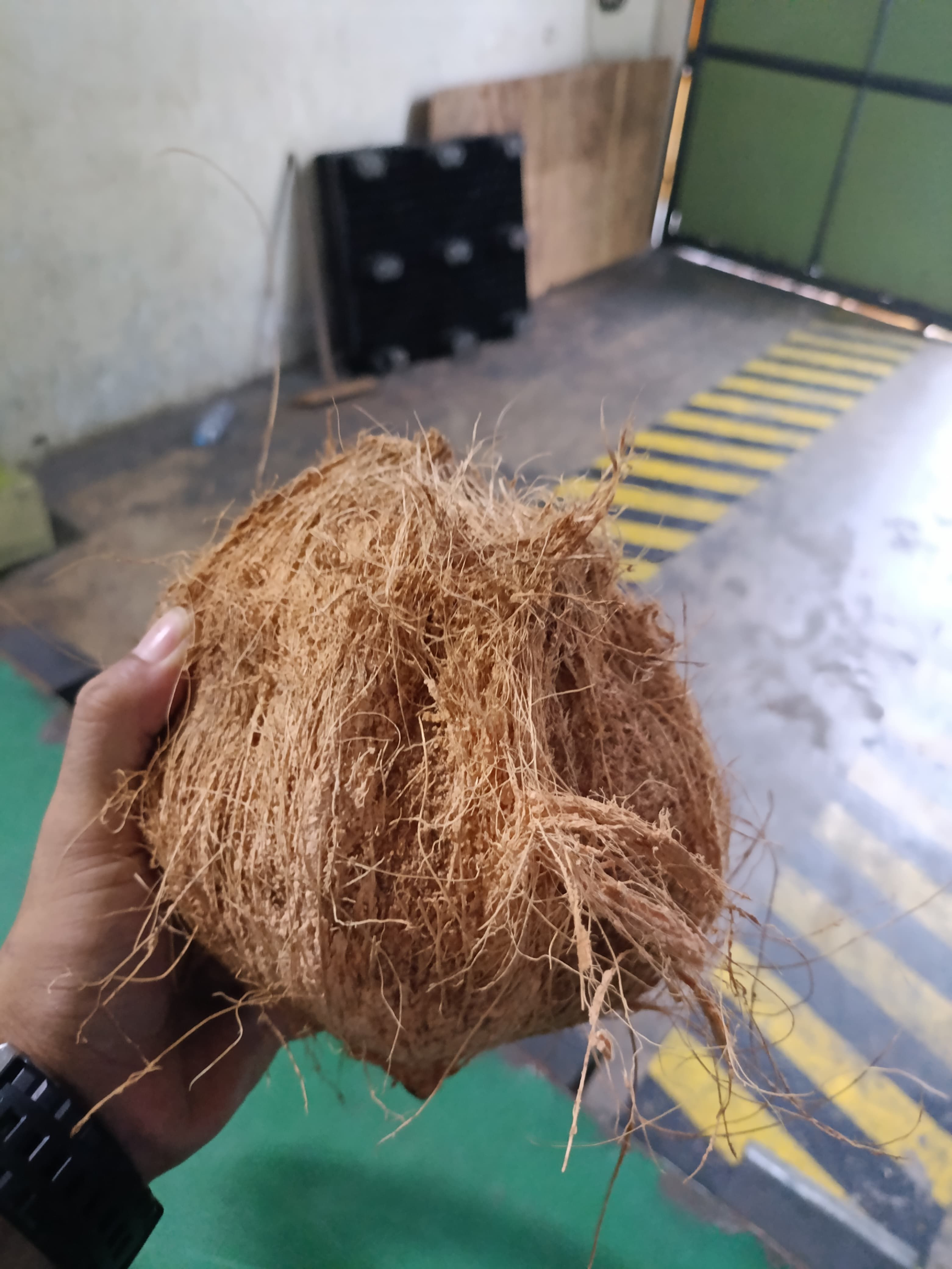 Buy Husked/semi-husked Coconut from PT. Karya Mina Jaya, Indonesia ...