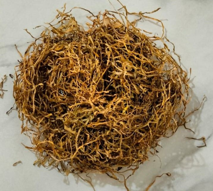 Buy Dried Taro Leaf from CV Kencana Ladang Pangan, Indonesia ...