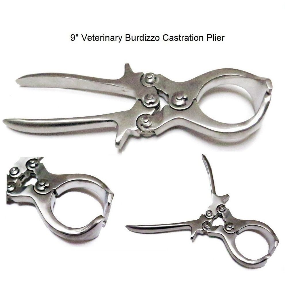 Buy Veterinary Burdizzo Plier Veterinary Surgical Instrument from ...