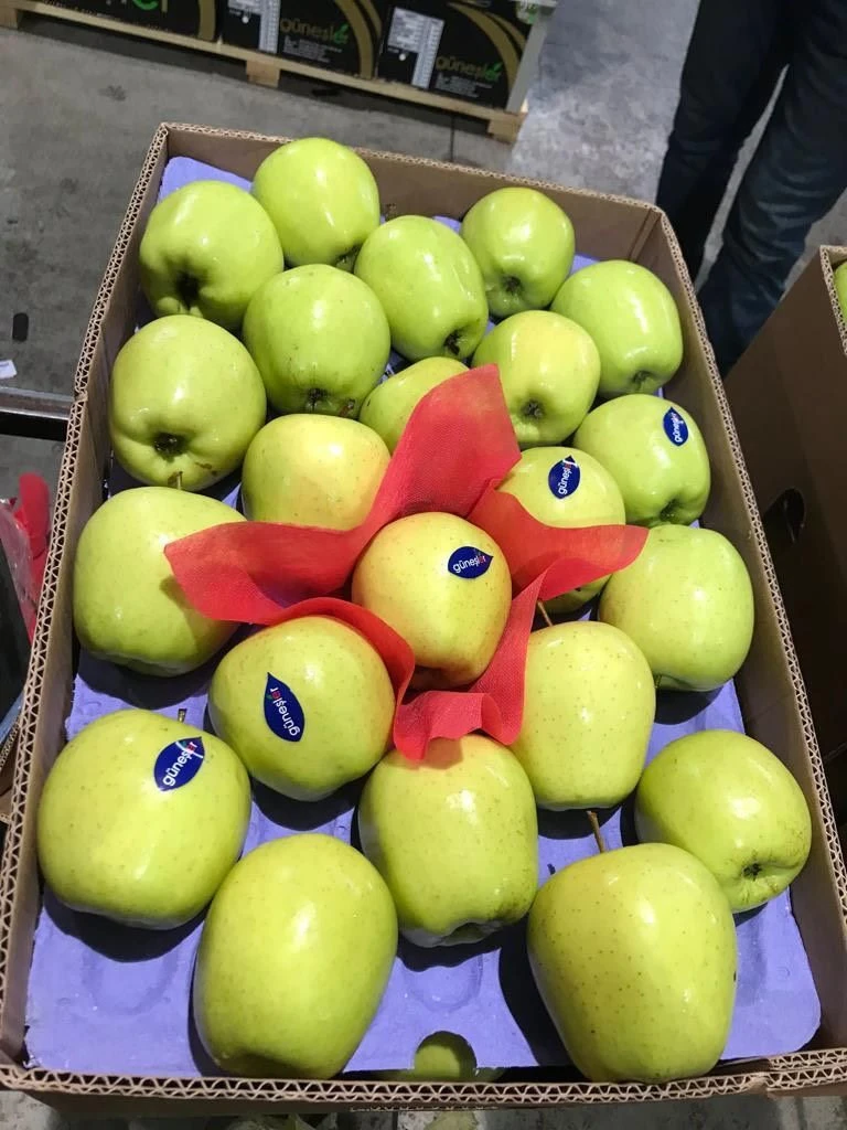 Buy Fresh Apple from Meg Grup Gida - Ic ve Dis Tic. San. Ltd. Sti ...