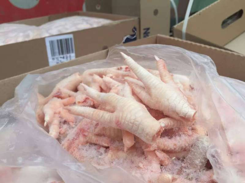 Buy Frozen Chicken Paws from MICHMORET PTY LTD, Australia | Tradewheel.com