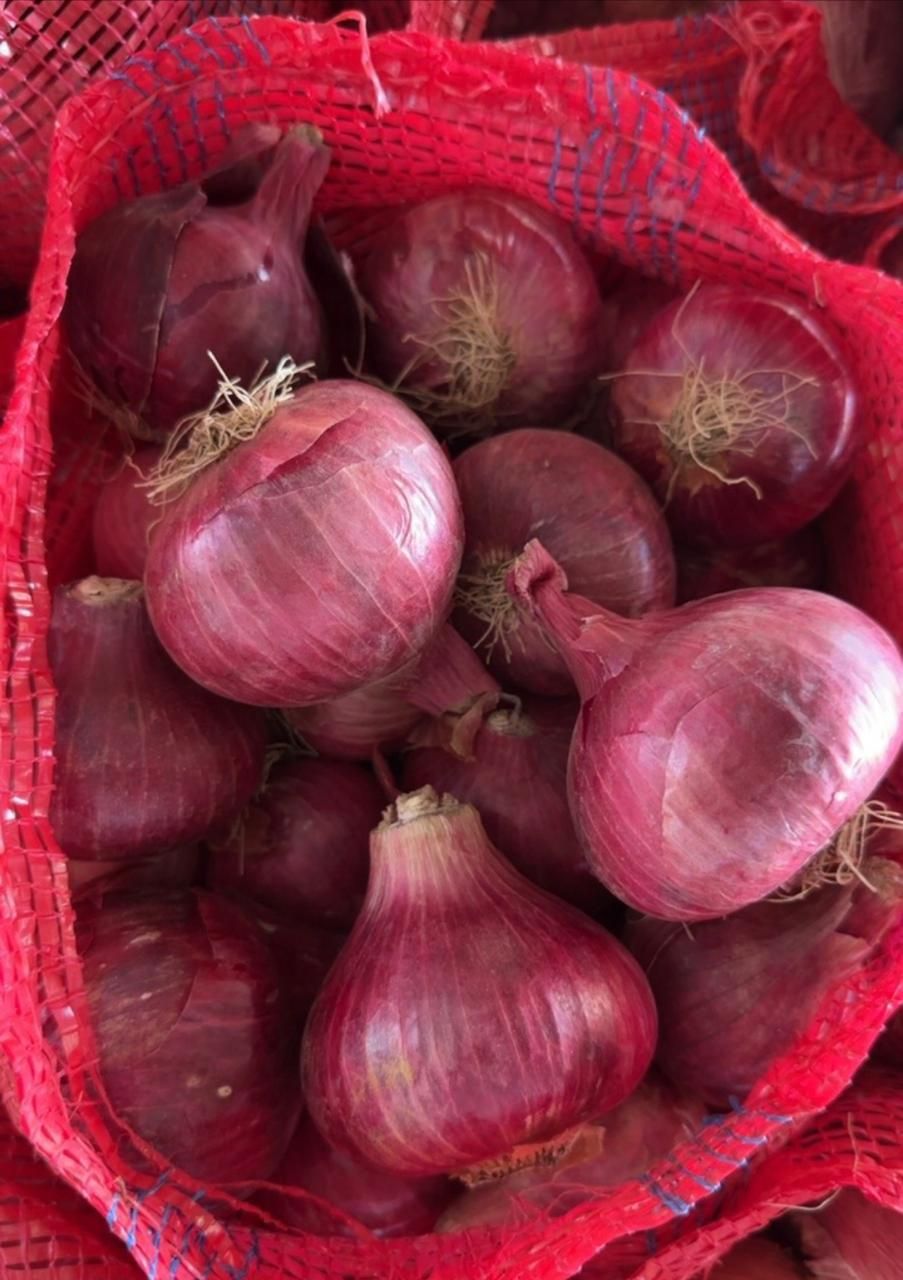 Buy Onions from YONAH EXPORTS (OPC) PRIVATE LIMITED, India | Tradewheel.com