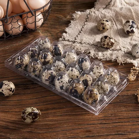 Buy 12 20 30 Holes Disposable Pvc Transparent Quail Egg Tray Packaging Boxes Egg Clamshell ...