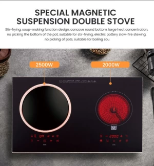 Buy 2021 Hot Sell Double Hobs 2 Plate Induction Cooker Two Burners ...
