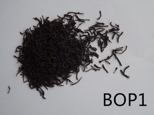 Buy Ceylon Black Tea / Bop 1 Tin (100g) from HIDELLANA TEA FACTORY ...