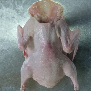 Buy Frozen Whole Duck Without Head&neck Poultry Meat from Qingdao ...