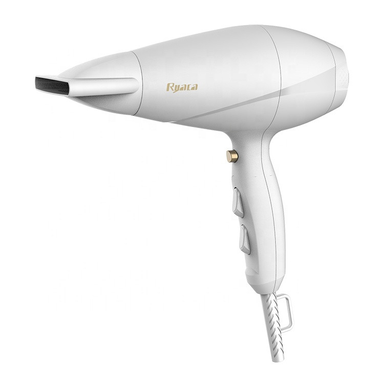 Buy Oem Ionic Professional Salon Dc Motor Big Power Hair Dryer 1800 ...